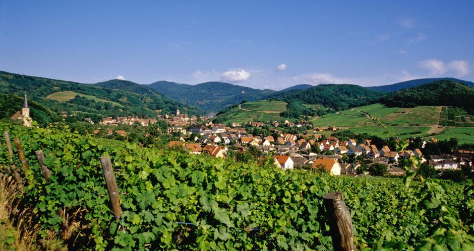 Medieval Alsace 1 | Eurohike Walking Holidays